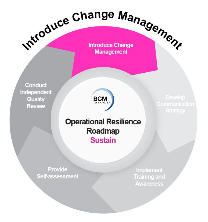 [Substain] Introduce Change Management Process and Procedures in Operational Resilience